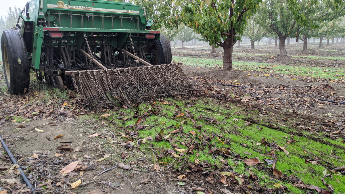 Behind the Scenes at Blooms Cherries! – Chinchiolo Farming Co. Inc.