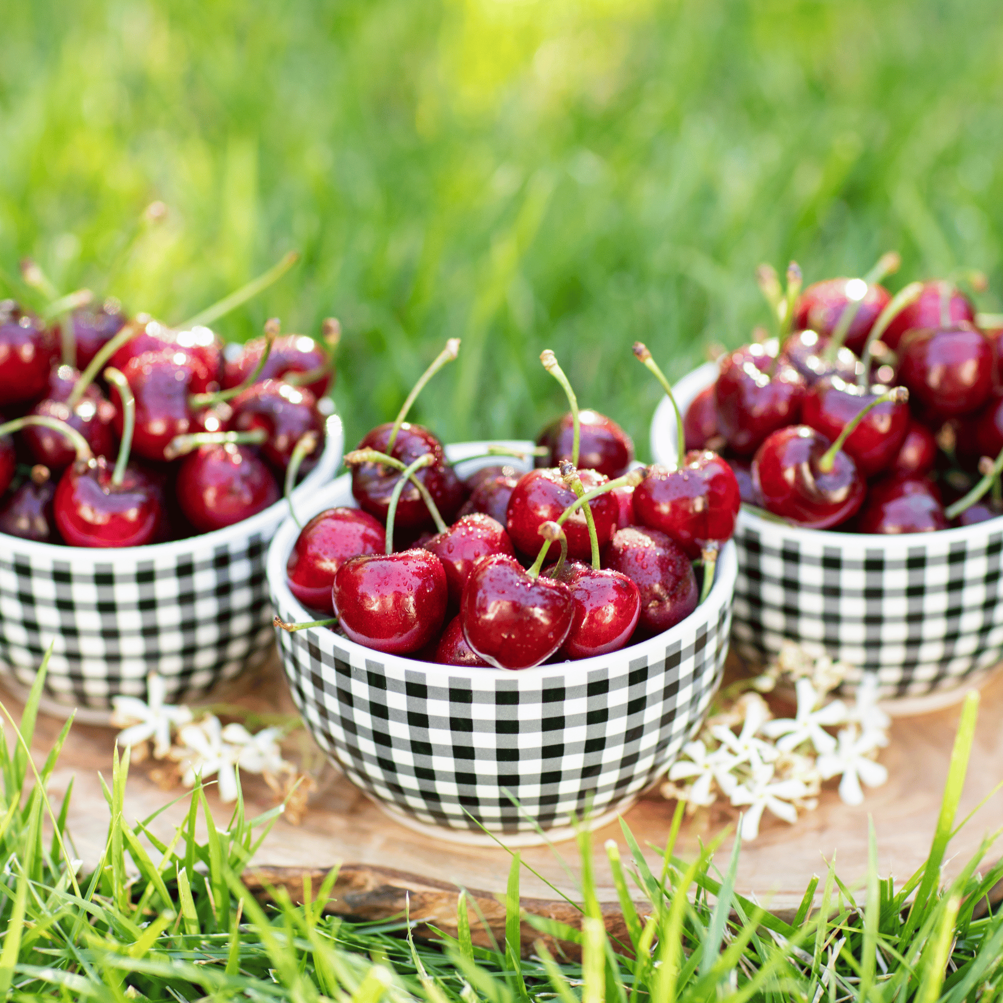 Juicy Bing Cherries For Sale | Blooms Cherries | Order Online ...