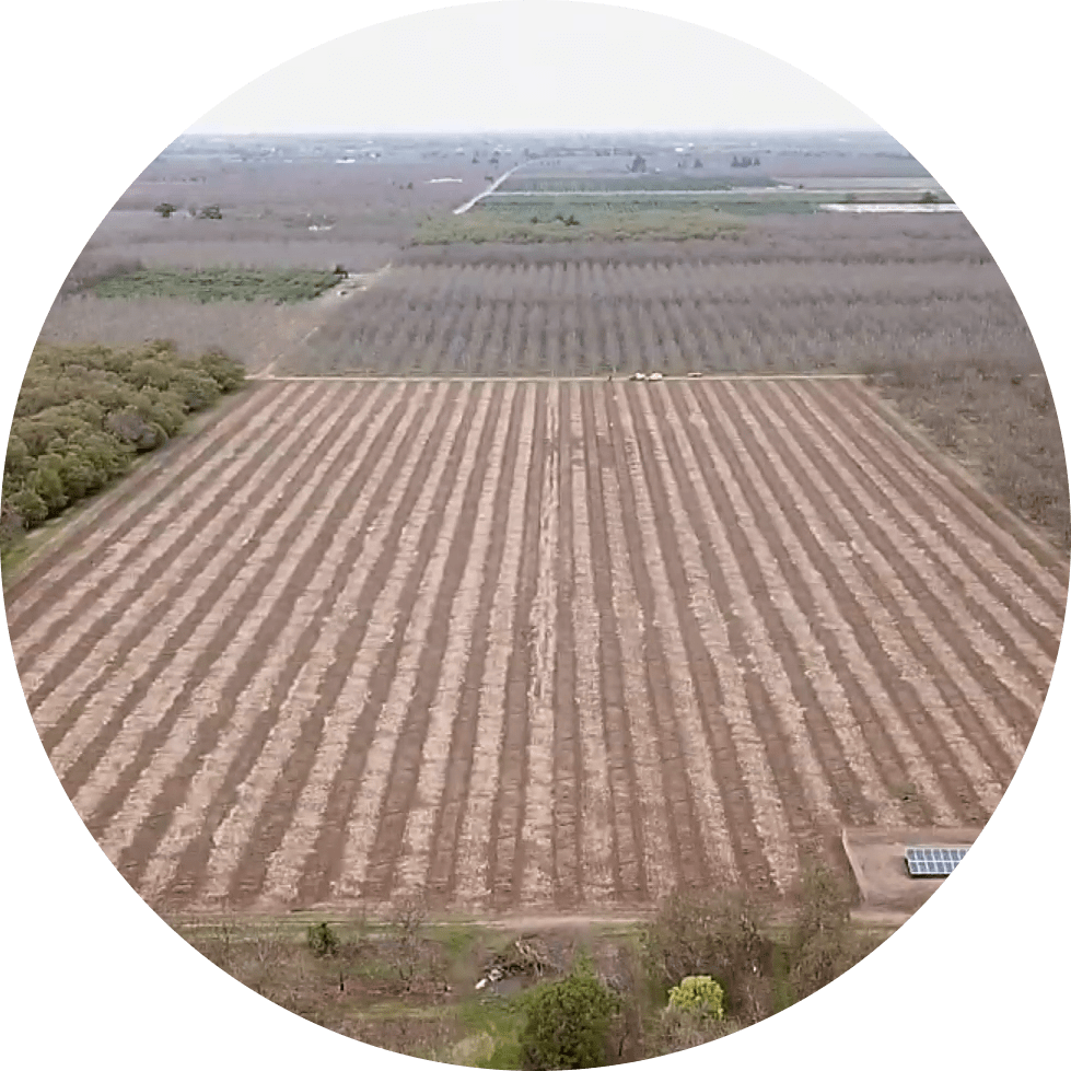 Chinchiolo Farming Co., Inc. | Connecting People to Agriculture#N# #N ...