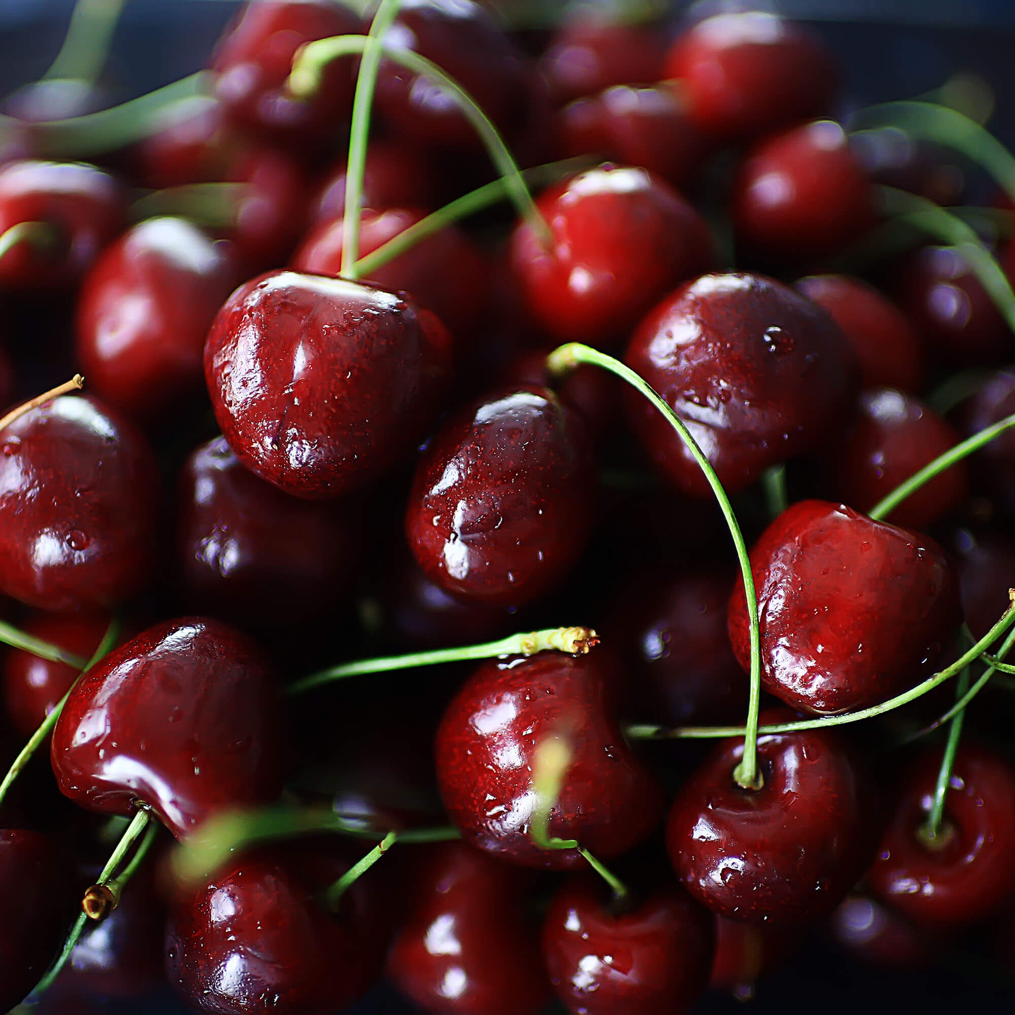 Buy Coral Champagne Cherries | Freshly Picked | Blooms Cherries