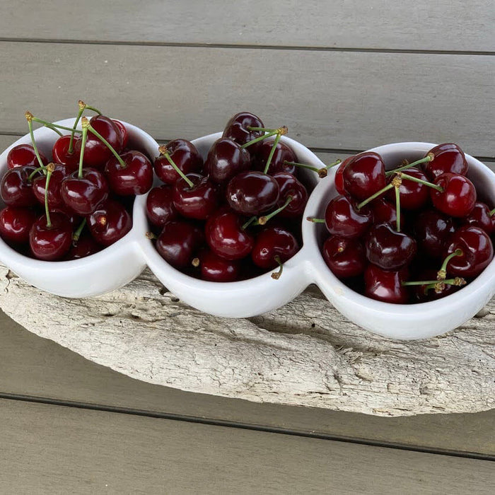 Chinchiolo Farming Co., Inc. – Orchard-to-Doorstep Cherries & Walnuts